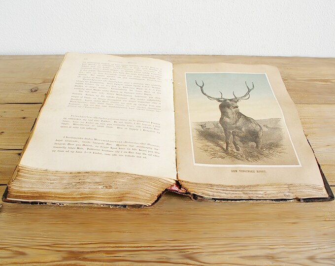 Arches Watercolour Paper,100% Cotton 300gsm Artist Grade Paper, 10 ...