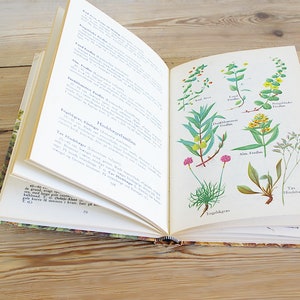 Vintage Flora Book, Wildflower Field Guide, Botanical Illustrations ...