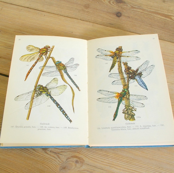 Vintage Insects Book Field Guide Lake Creek Halloween Decor | Etsy