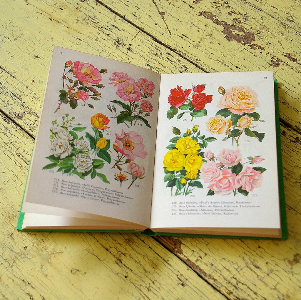 Vintage Book Bushes Trees, 100+ Illustrations, Garden Flower Guide ...