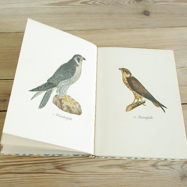 Vintage Bird Book - Etsy