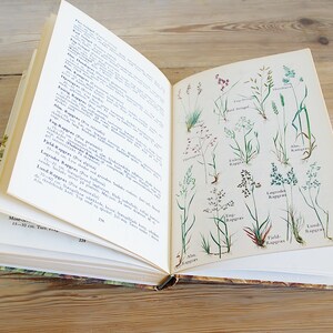 Vintage Flora Book, Wildflower Field Guide, Botanical Illustrations ...