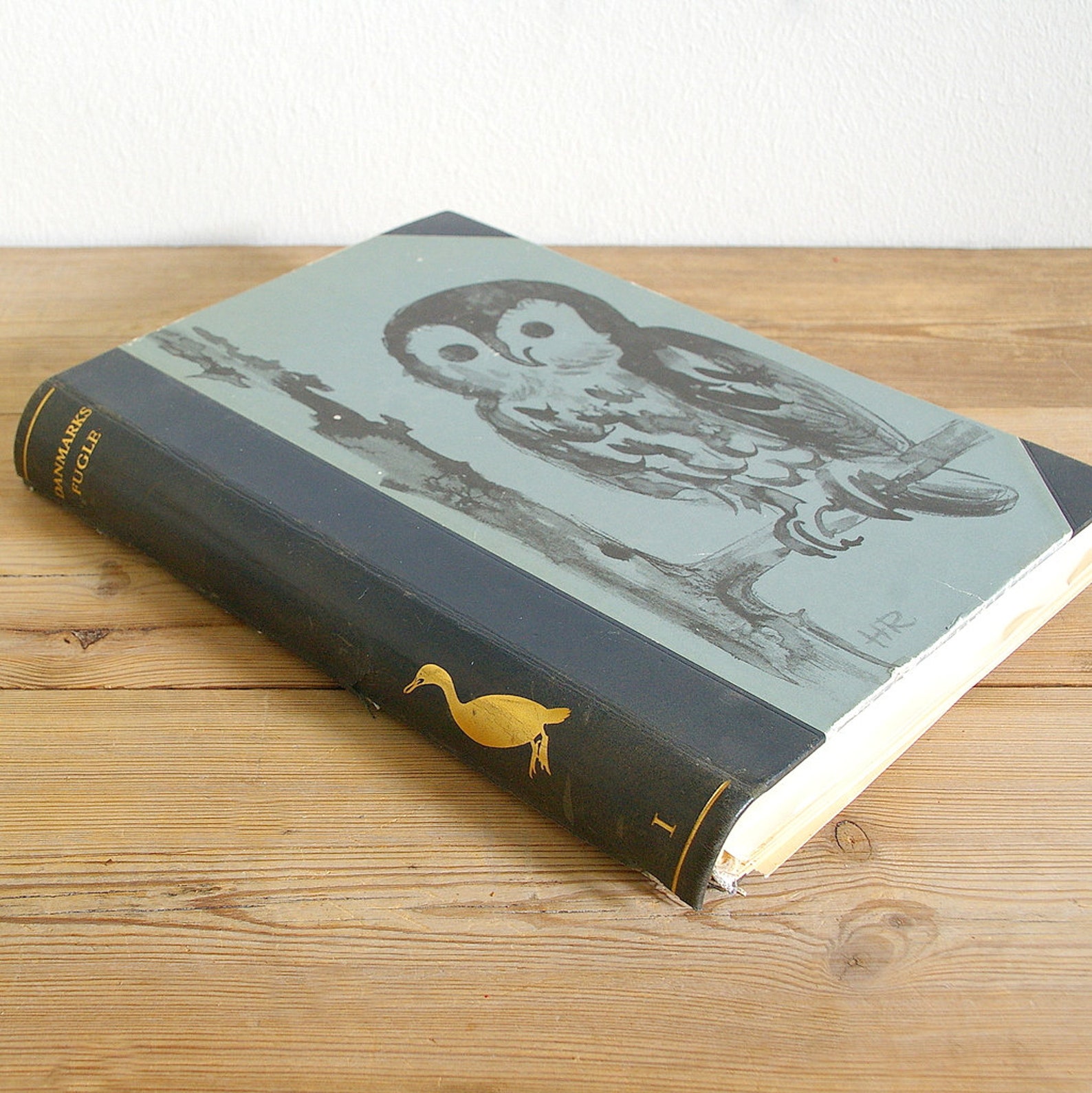 Vintage Old Bird Book Pages Bird Collage Pages Illustrations - Etsy