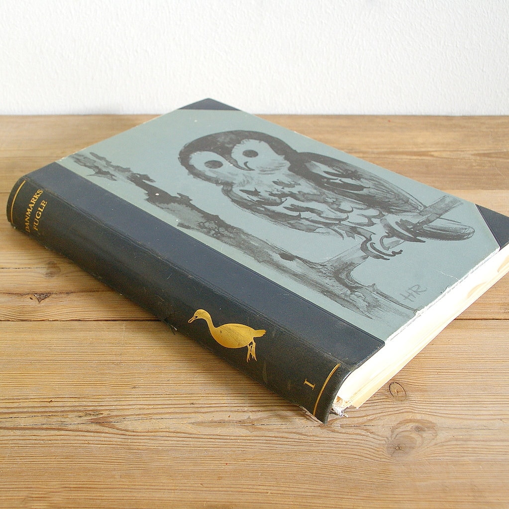 Vintage Old Bird Book Pages, Bird Collage Pages, Illustrations From ...