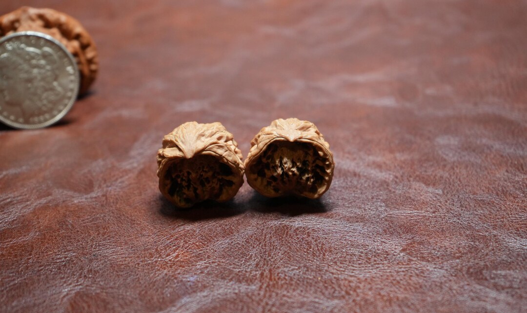 Matched Walnut Hand Exercise Balls: Little Serpent Head 29 Mm - Etsy