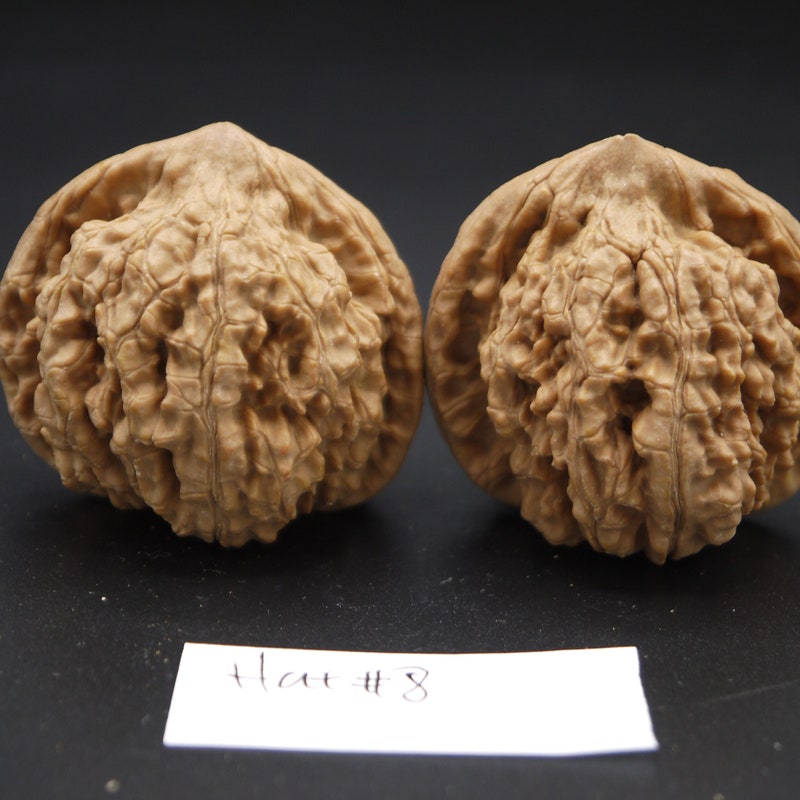Walnut Hat - Etsy