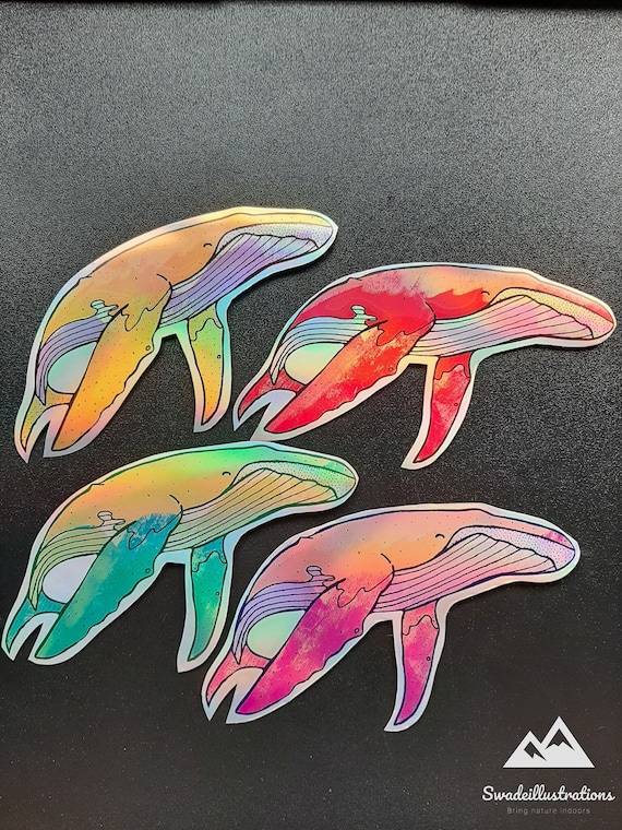 The 4 Pastel Whale Sticker Set Holographic Stickers Glossy - Etsy