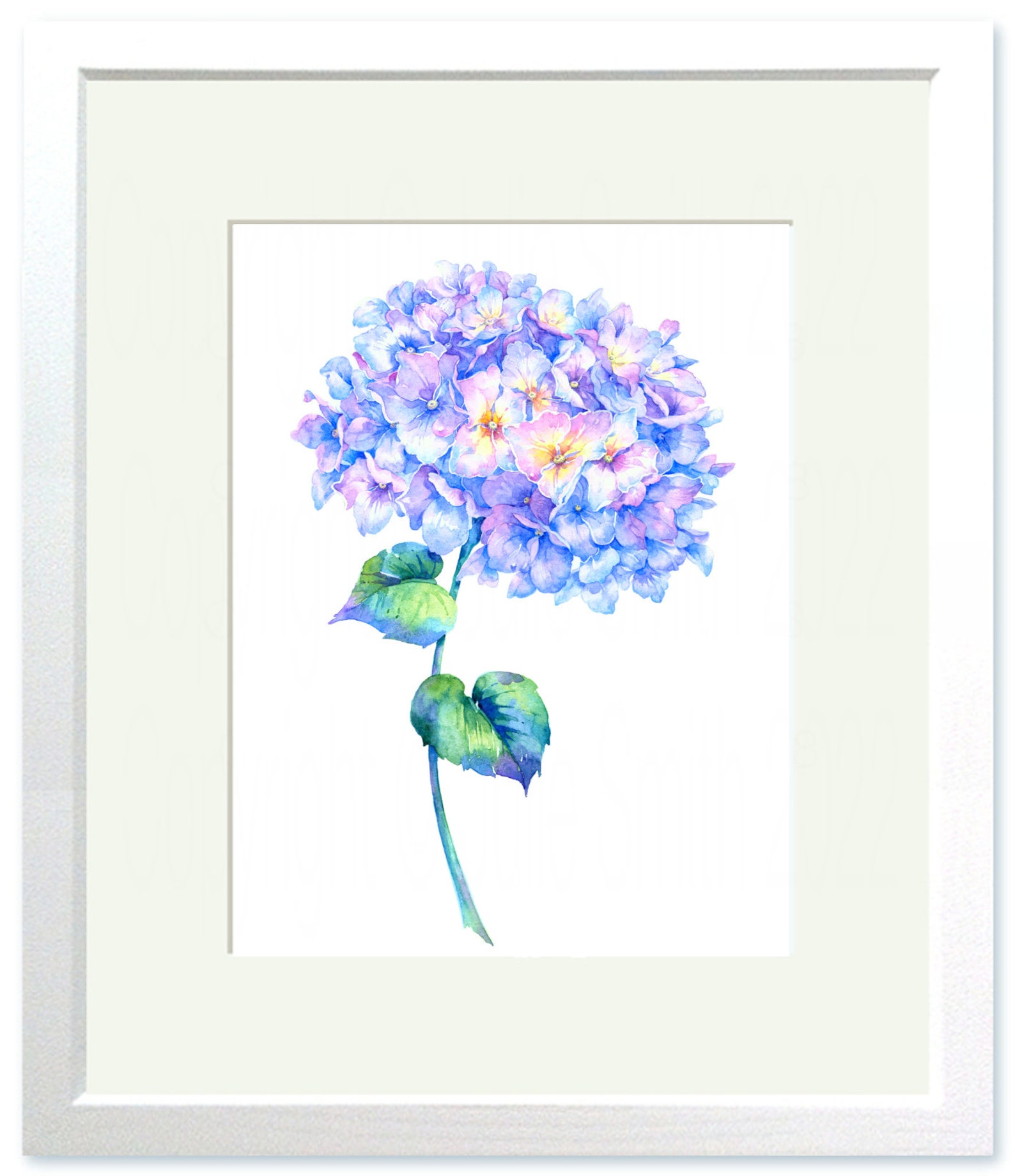 Periwinkle Blue Hydrangea, Watercolour Flower Art Print, Botanical ...