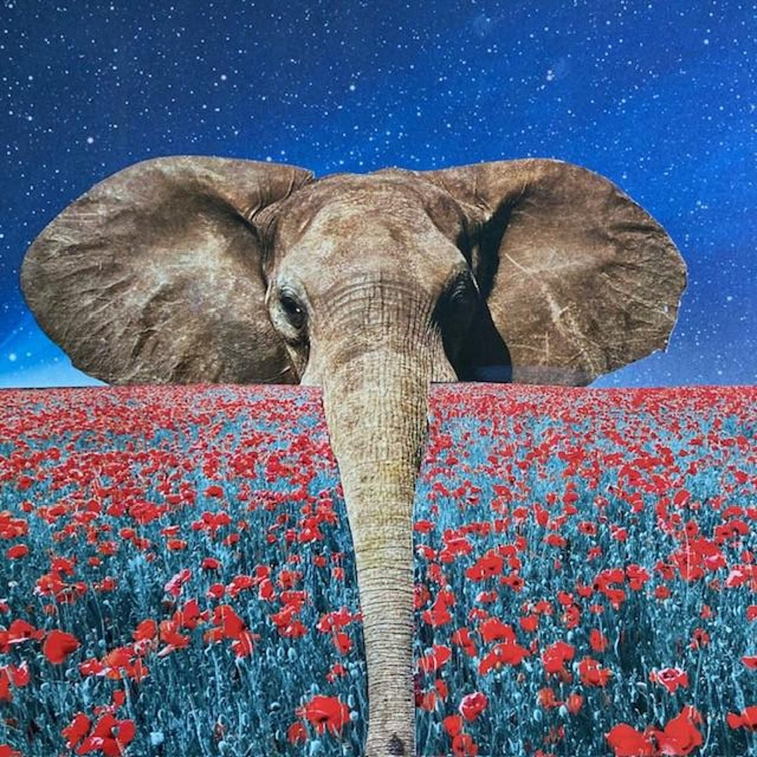 Elephants Remember, Elephant Art, Elephant Collage, Collage Art ...
