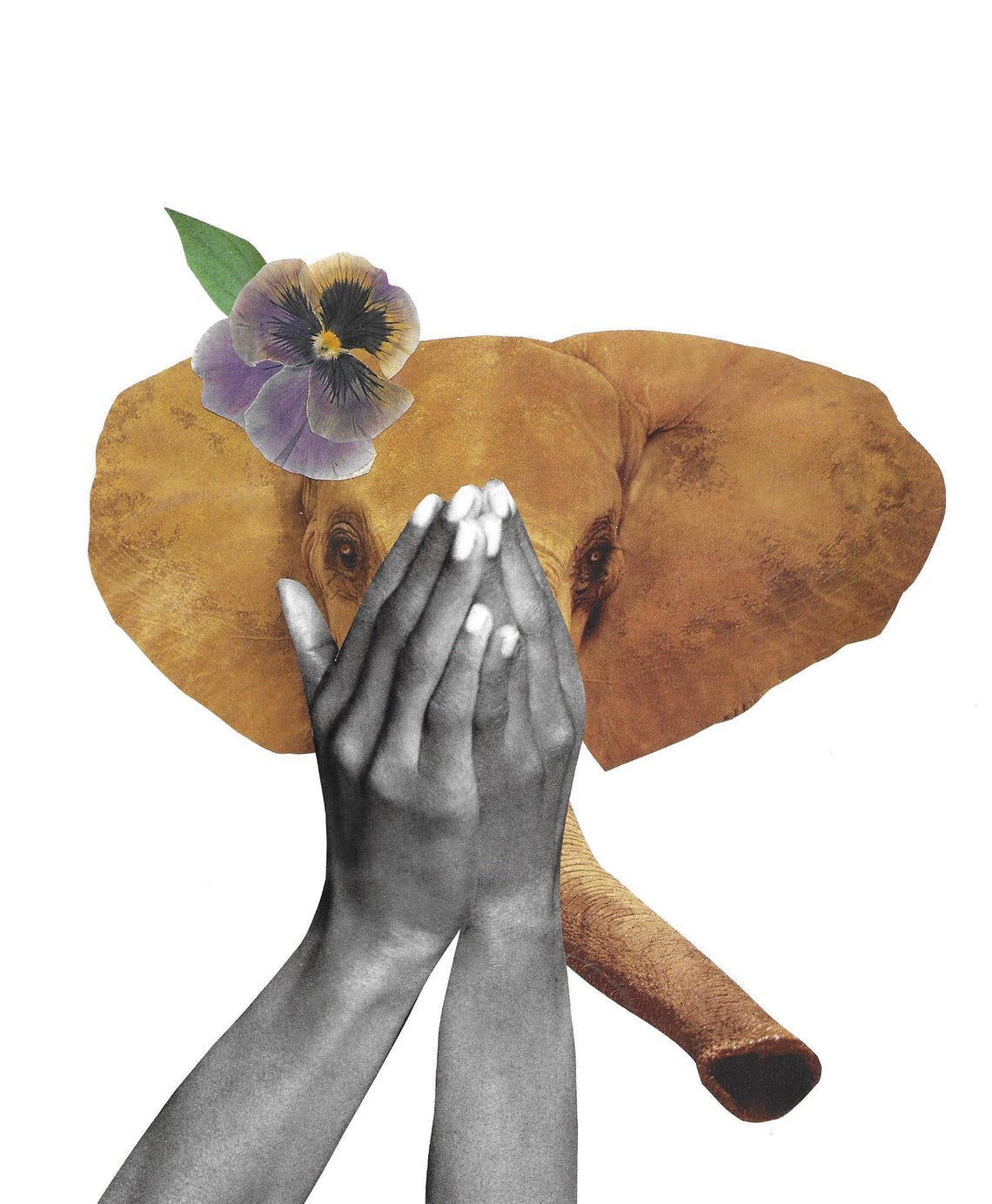 Elephants Remember, Original Collage, Elephant Collage, Elephant Art ...