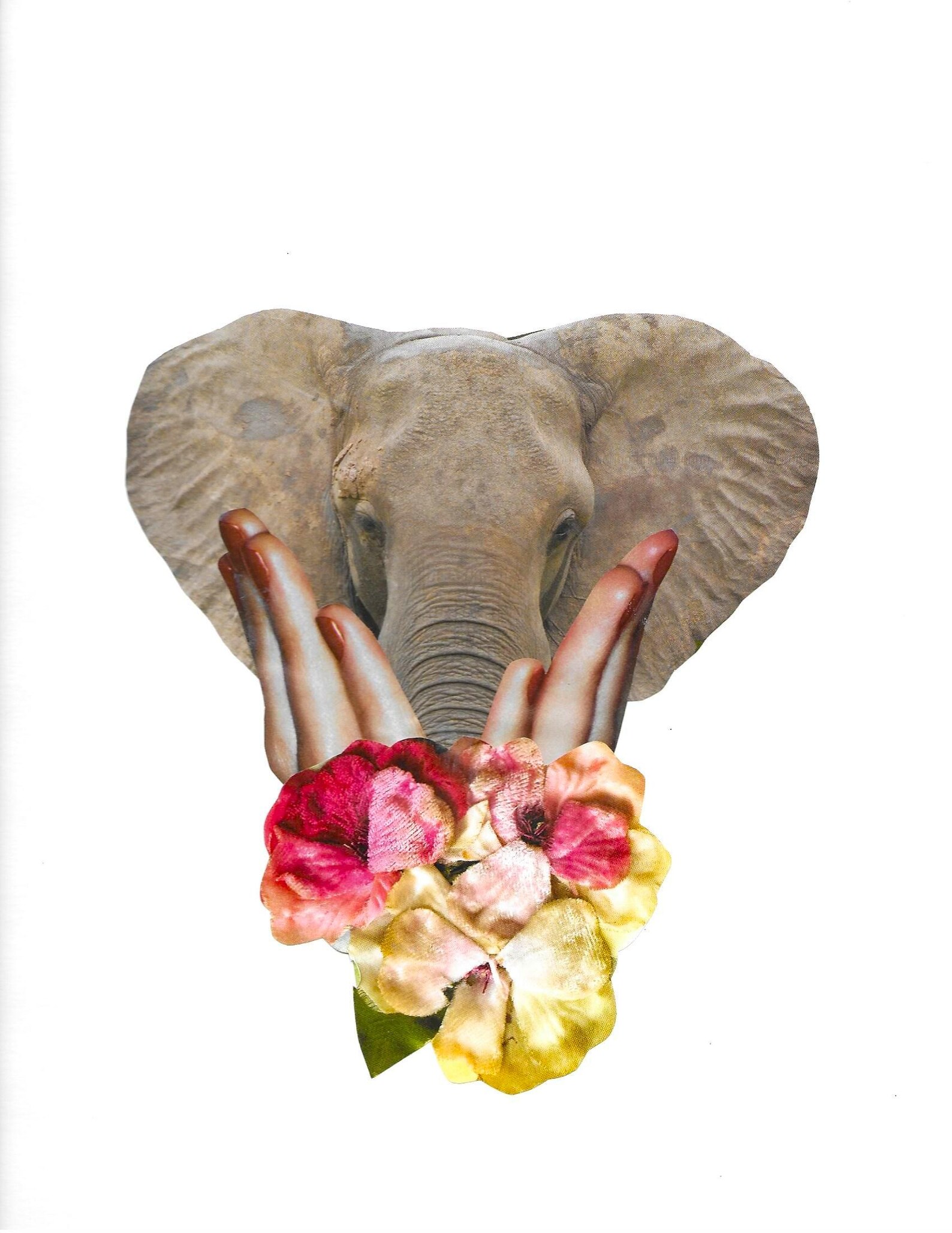 Astonished, Collage Art Print, Elephant Collage, Collage Print ...