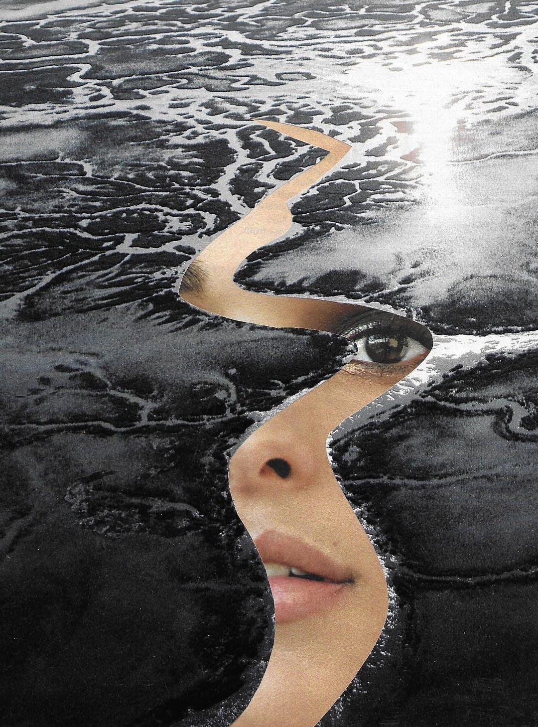 Flow, Surreal Collage, Collage Art, Original Collage, Nature Art, Paper ...