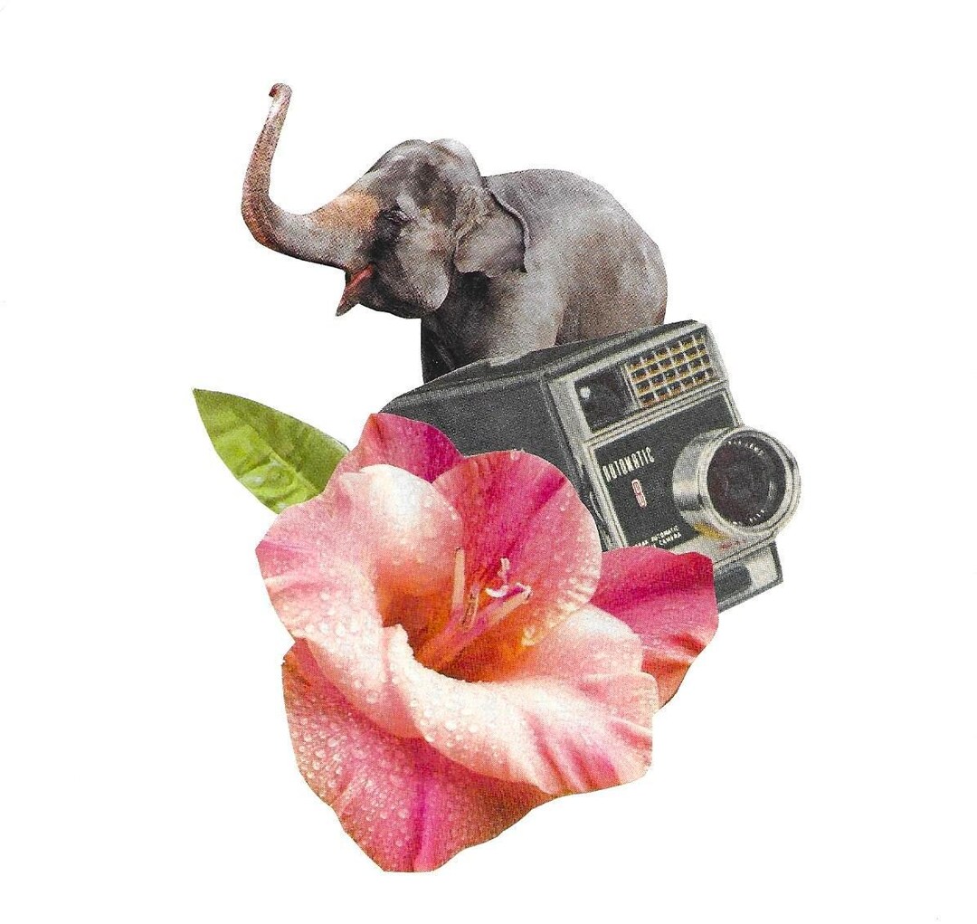 Elephants Remember, Elephant Collage, Elephant Art, Surreal Collage ...