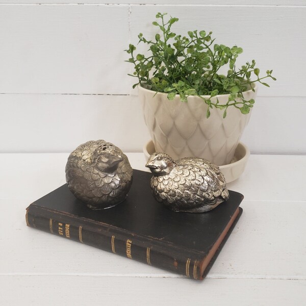 Bird Salt and Pepper Shakers - Etsy