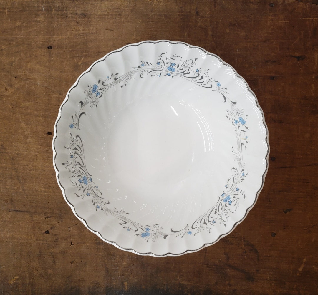 Vintage Johnson Bros England Regency Snowhite Blue Flower Ironstone ...