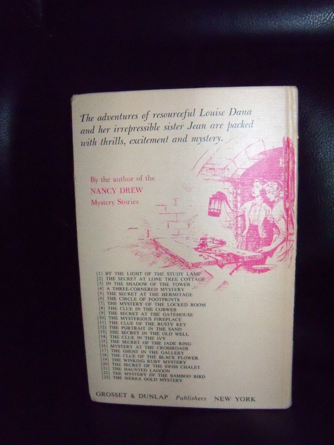 Vintage the Dana Girls Mystery Stories 19 the Winking Ruby Mystery Book ...