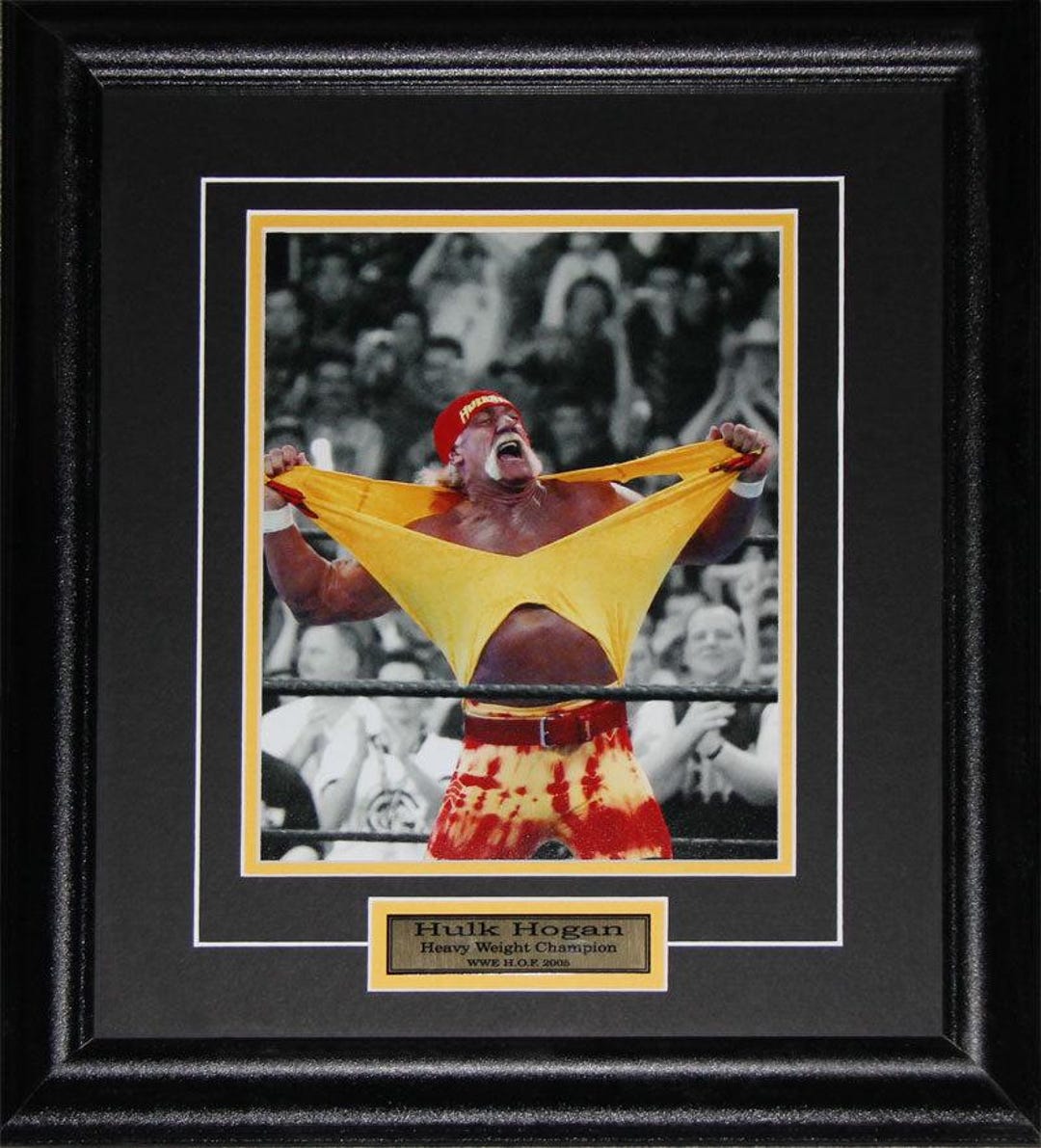 Hulk Hogan WWF WWE World Wrestling Entertainment Federation 8x10 ...