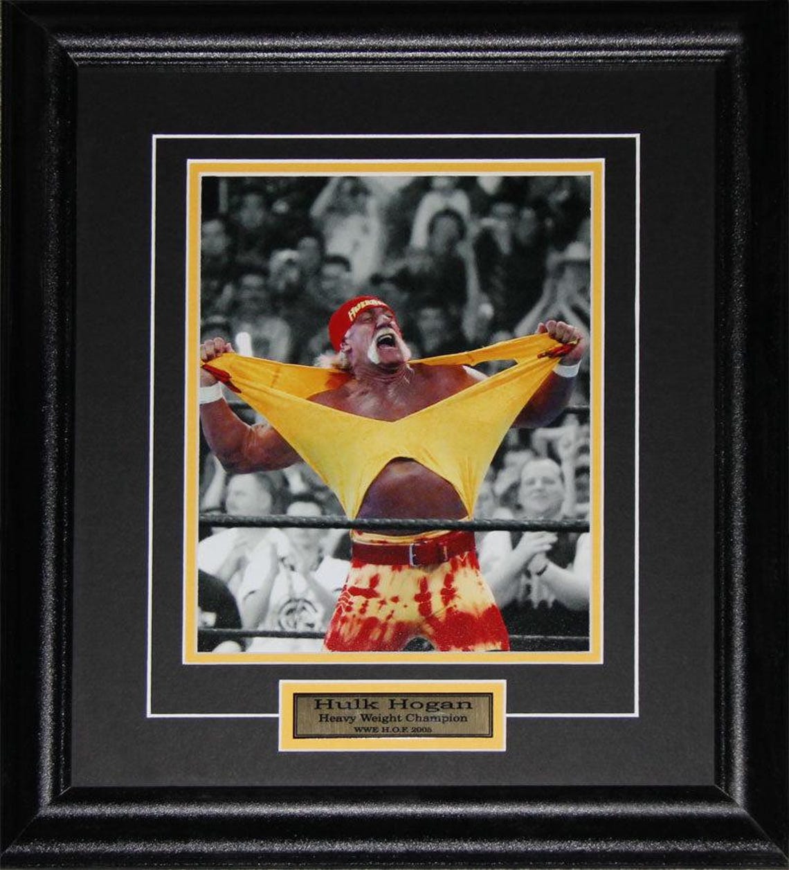Hulk Hogan WWF WWE World Wrestling Entertainment Federation 8x10 ...