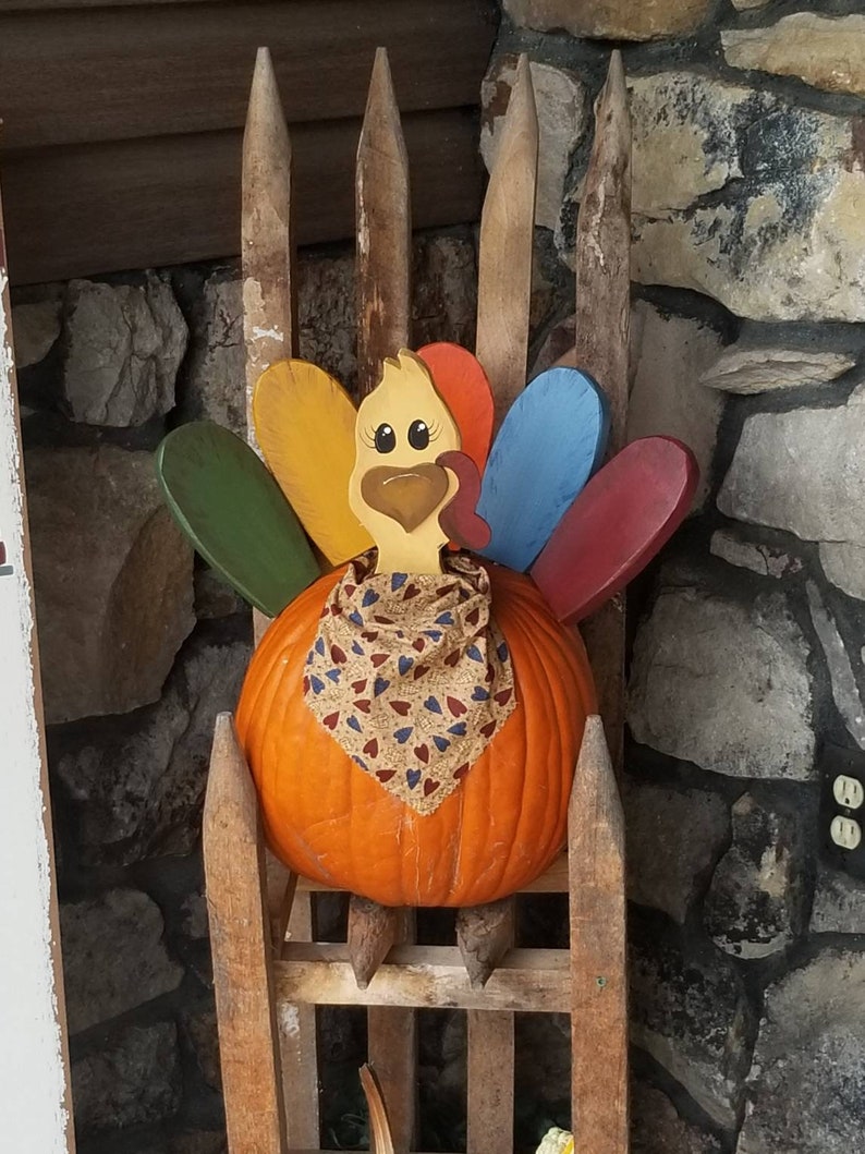 Wooden Turkey Kit for Pumpkin - Etsy