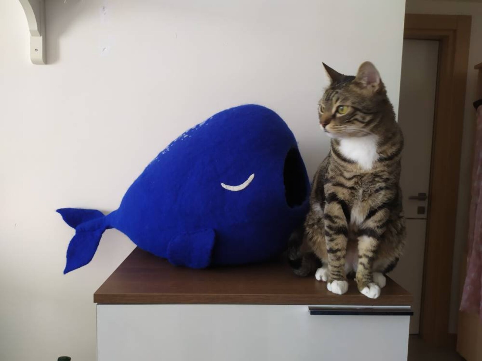 Cat Cave Whale Cat Cave Wool Cat Cave Cat Cacoon Felt Cat - Etsy