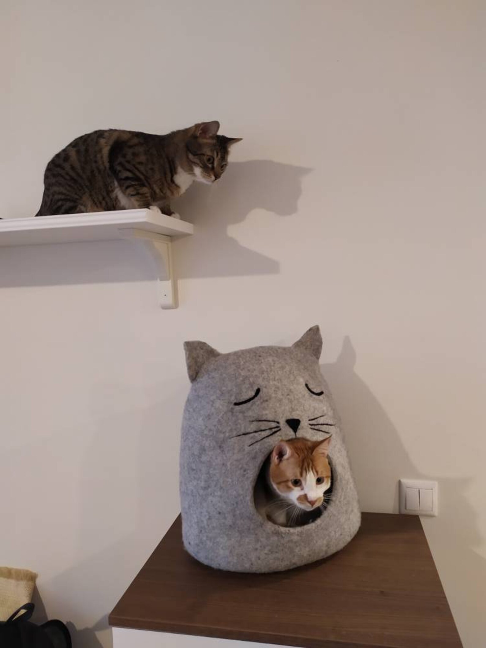 Cat cave desinger Cat cave Cat furniture felted Cat cave | Etsy