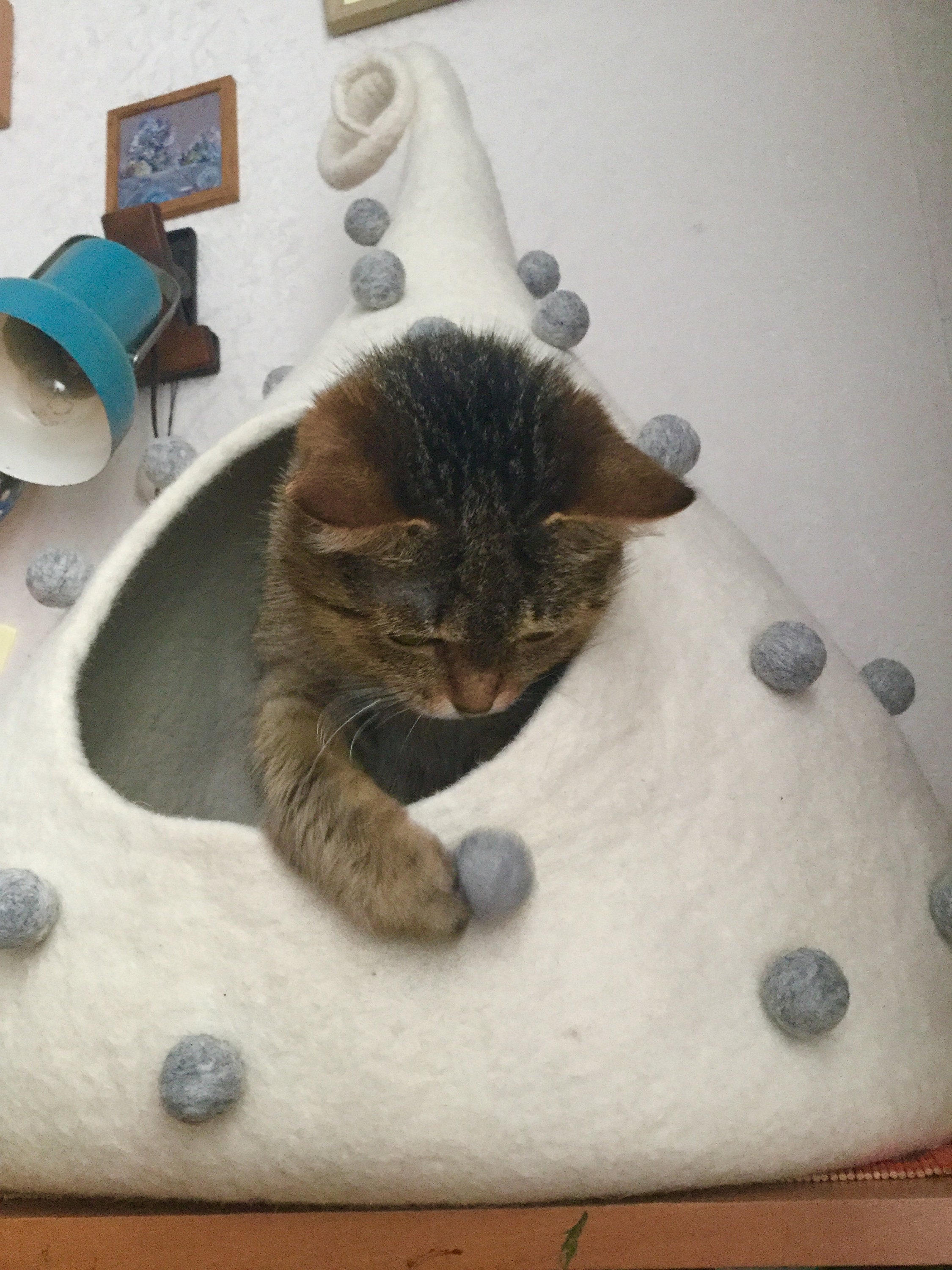 Large cat cave desinger cat cave cat cave white | Etsy