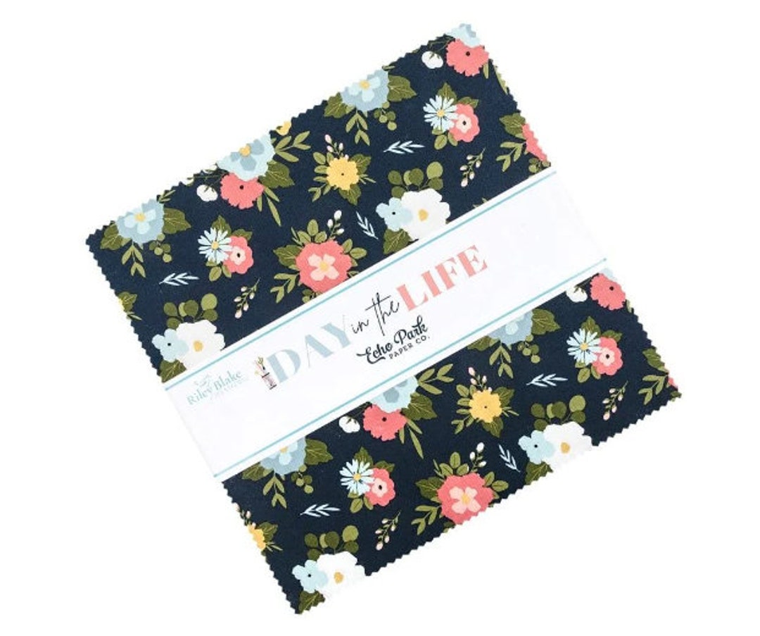 Day in the Life Layer Cake - 42 Pieces - by Echo Park for Riley Blake ...