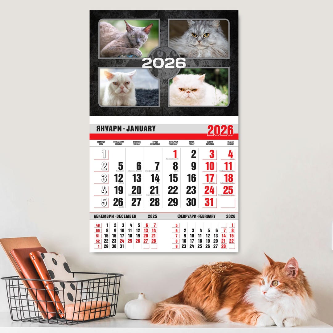 2026 Angry Cats Wall Calendar: Funny Cat Lover Gift - Etsy