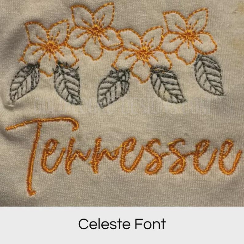 Celeste Script Handwriting Machine Embroidery Font Embroidery Font in 2 ...