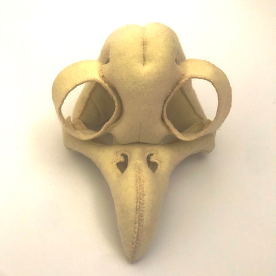 Owl Skull Front