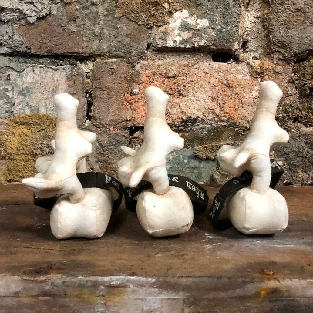 Human Vertebrae / Backbone Soft Sculpture - Etsy