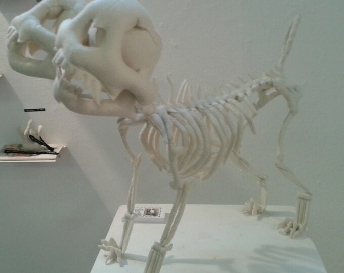 CUSTOM ORDER for Cwenielyn: Two Headed Pug Skeleton. 1st Payment of 3 ...