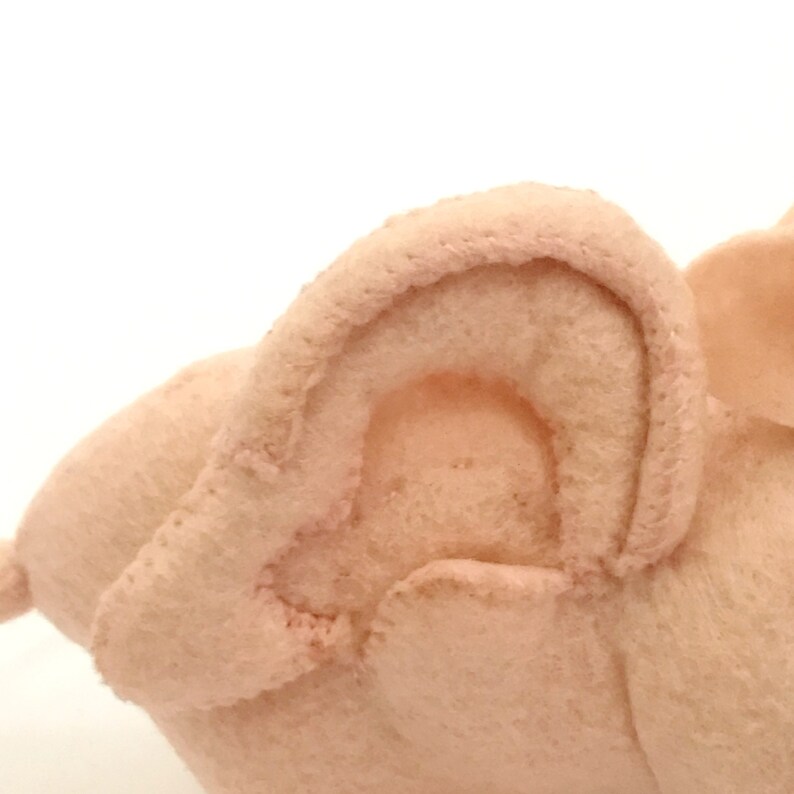 Genetically Engine-eared Vacanti Mouse - Etsy UK