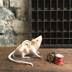 Genetically Engine-eared Vacanti Mouse - Etsy UK