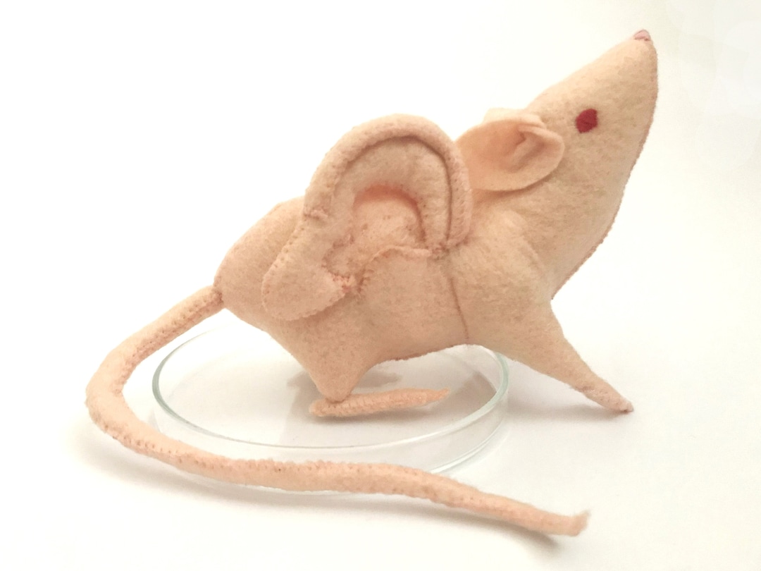 Genetically Engine-eared Vacanti Mouse, Vegan Faux Taxidermy ...