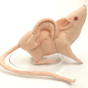 Genetically Engine-eared Vacanti Mouse - Etsy UK