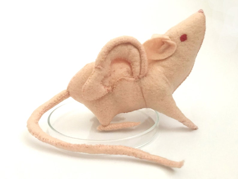 Genetically Engine-eared Vacanti Mouse, Vegan Faux Taxidermy ...