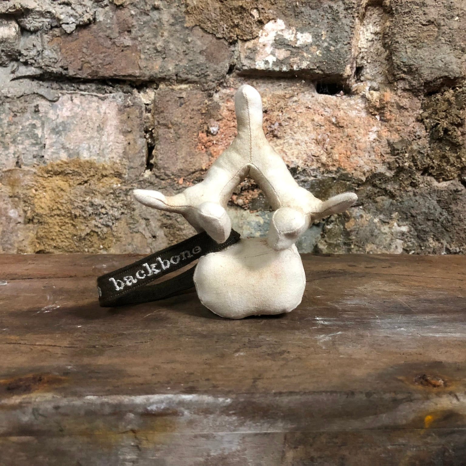 Human Vertebrae / Backbone Soft Sculpture - Etsy