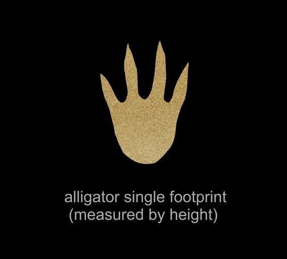 Alligator Footprint