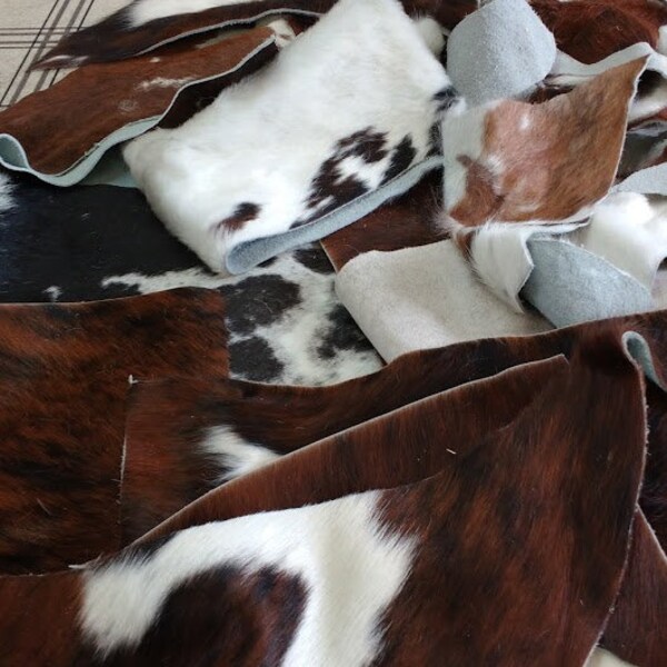 Cow Rawhide - Etsy
