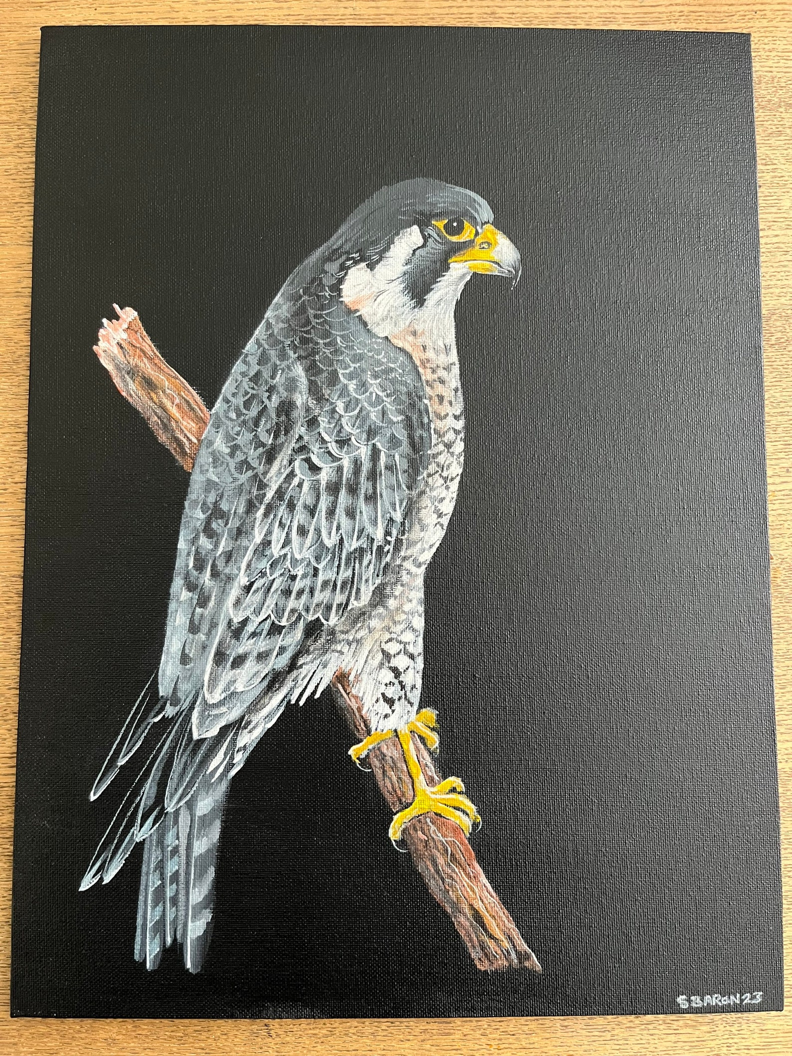 Peregrine Falcon - Etsy