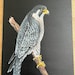 Peregrine Falcon - Etsy