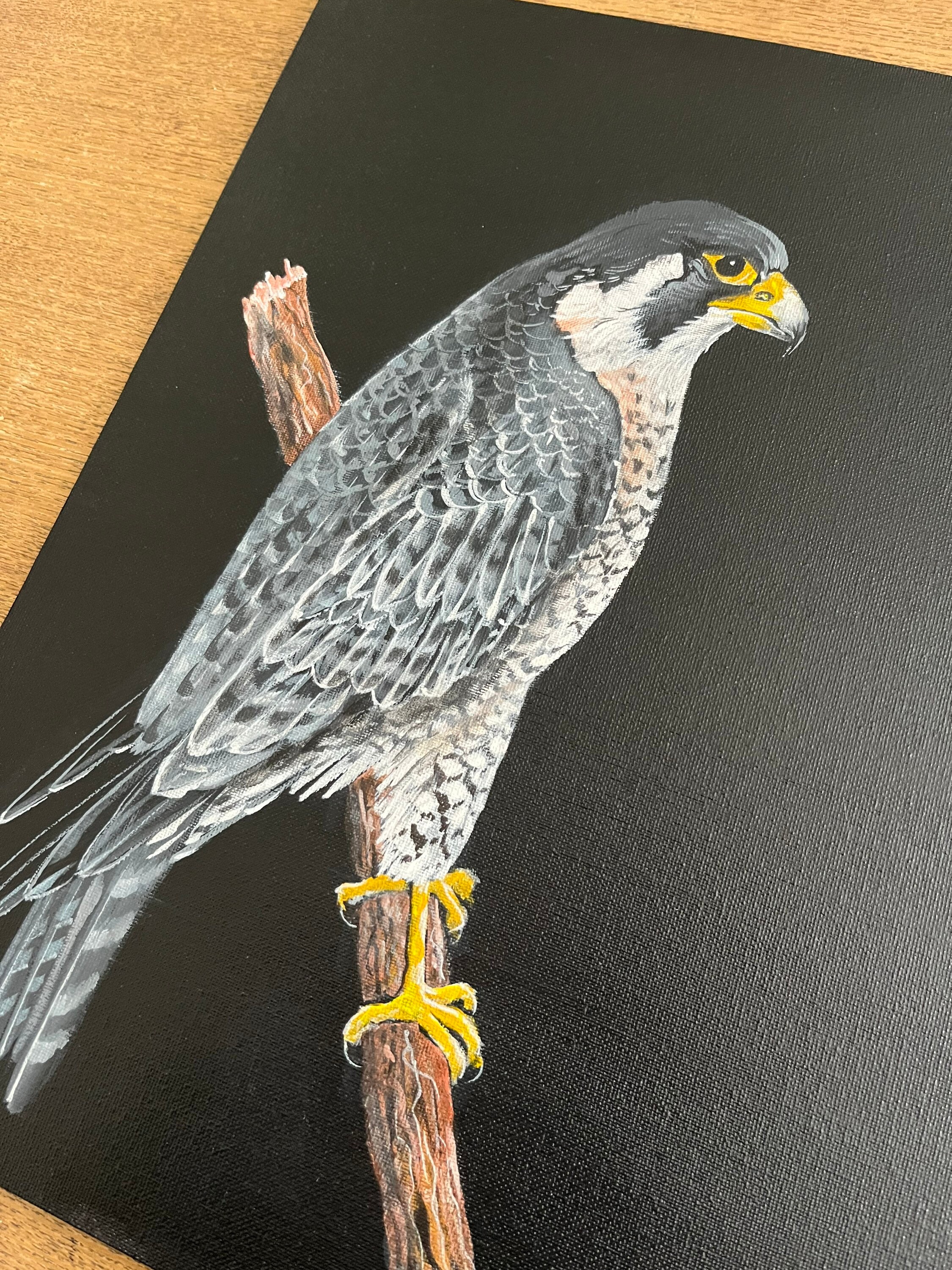 Peregrine Falcon - Etsy