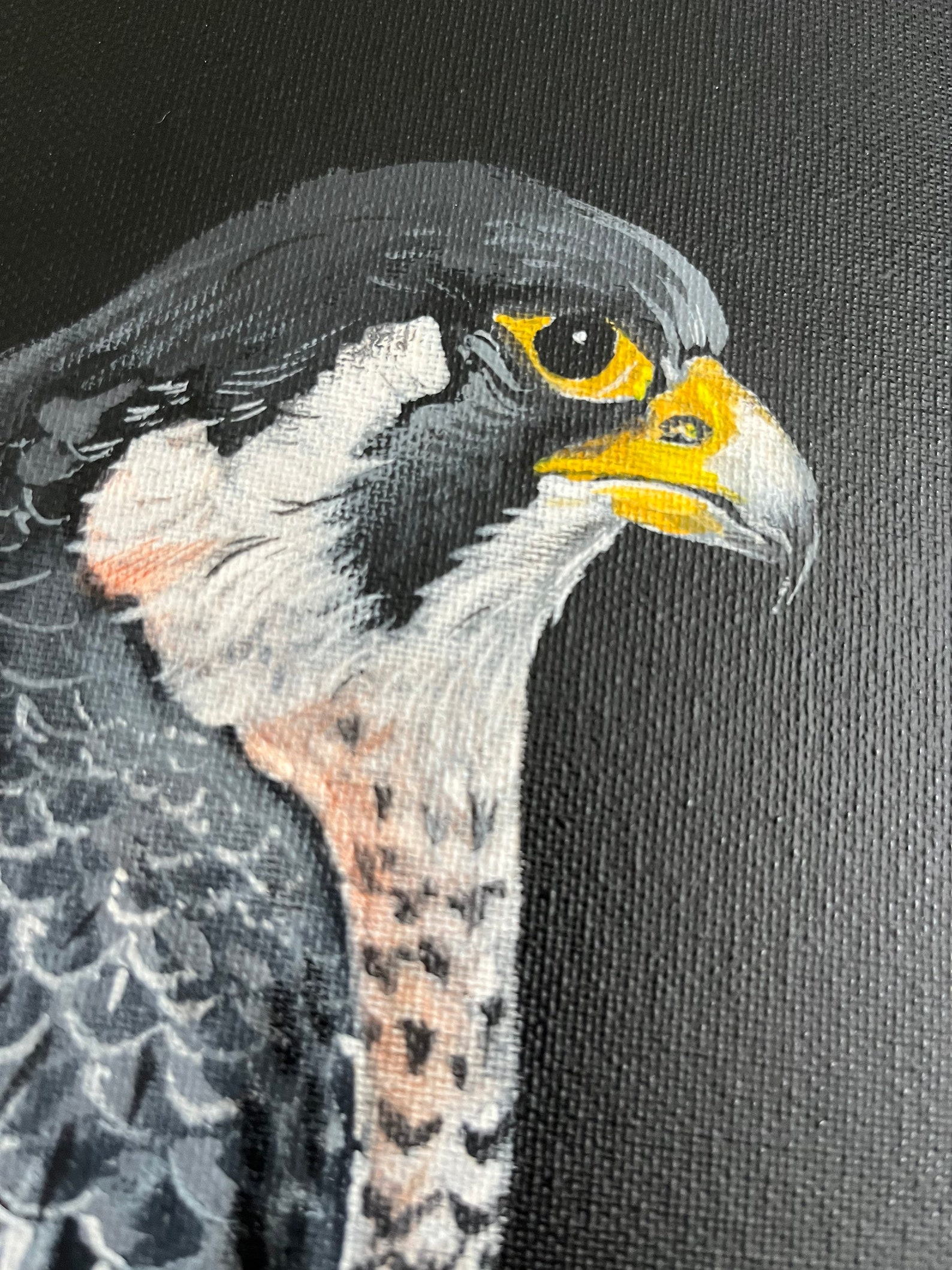 Peregrine Falcon - Etsy