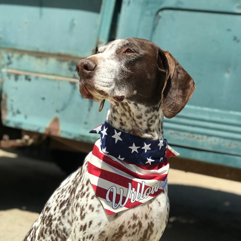 4th of July Dog Bandana Personalized Patriotic Personalized | Etsy