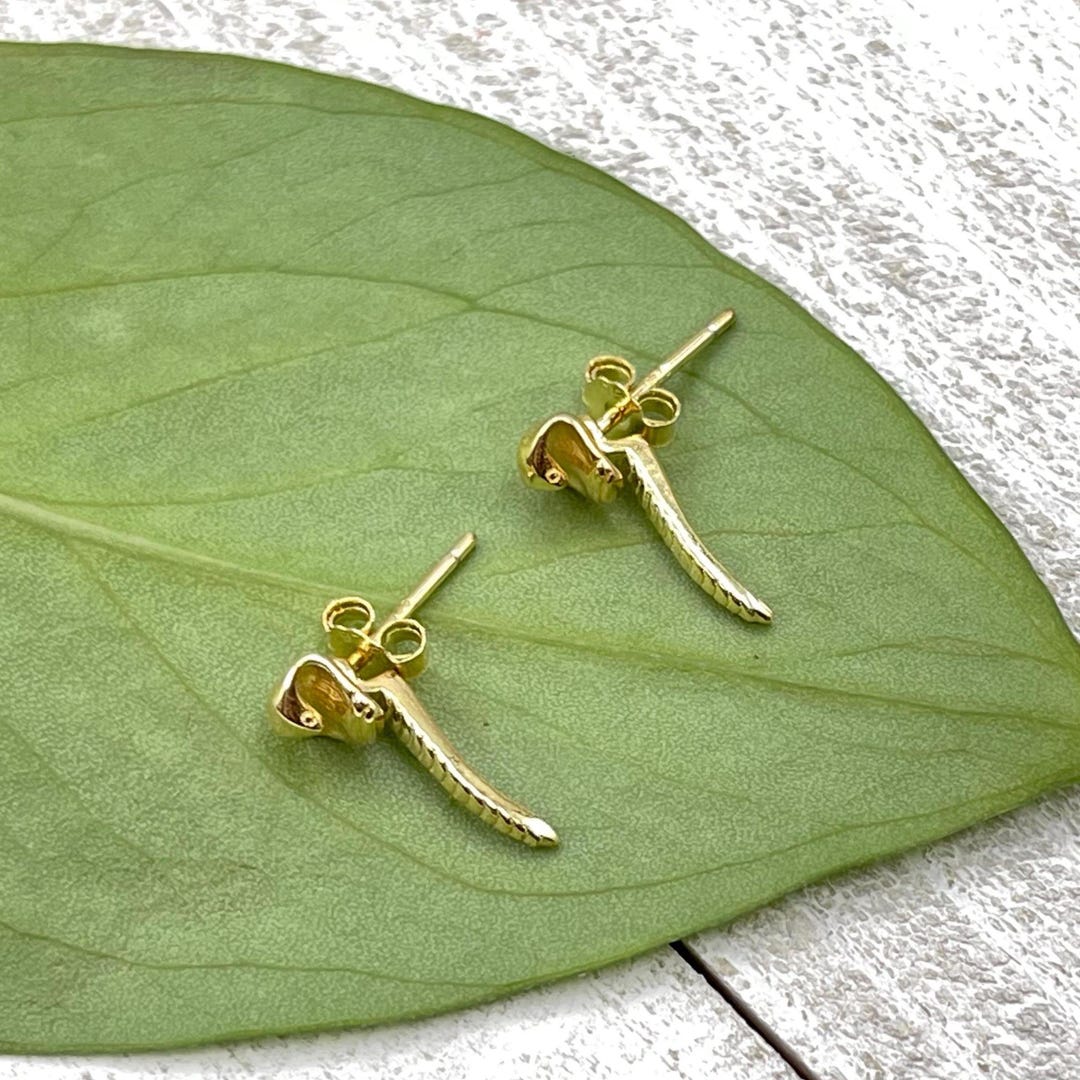 Serpent Front Back Stud Earrings, Small Snake Ear Jacket, Unique Animal Minimalist Earrings for ...