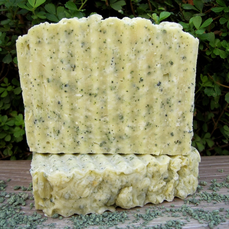 Seaweed Soap - Etsy