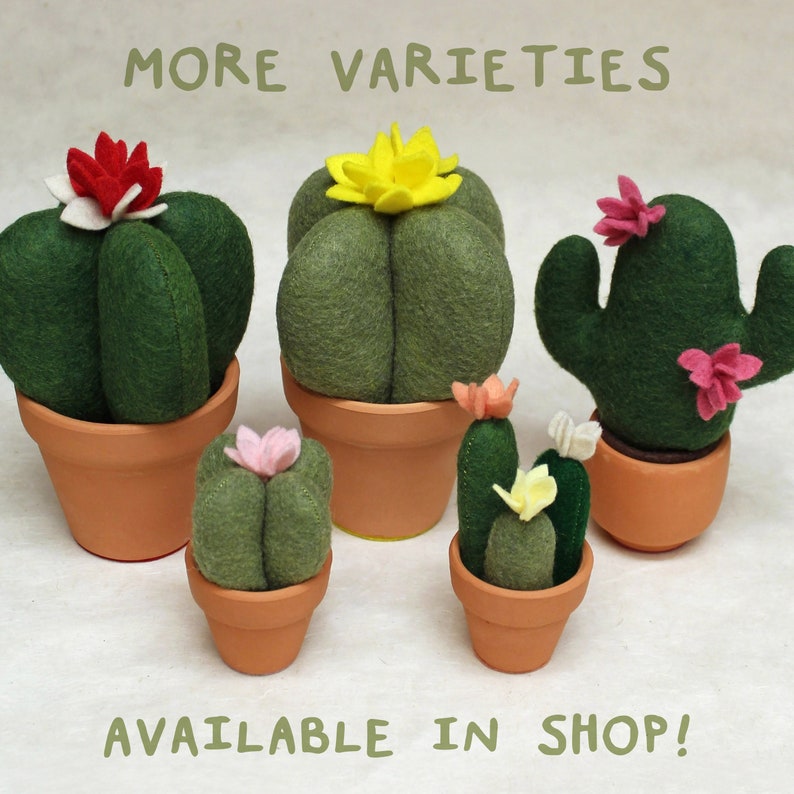 Felt Cactus Mini Cute Fake Plant Pincushion or Decor Flower - Etsy