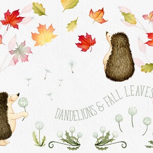 Fall Clipart Hedgehog Clipart Autumn Clipart Fall Leaves - Etsy