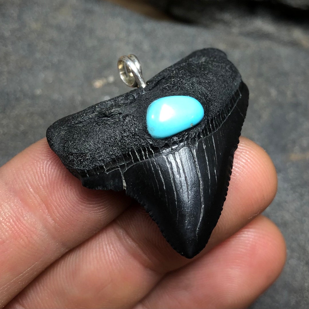 Sterling Silver MEGALODON Shark TOOTH Pendant, Raw Turquoise Inlay, 1.5 ...